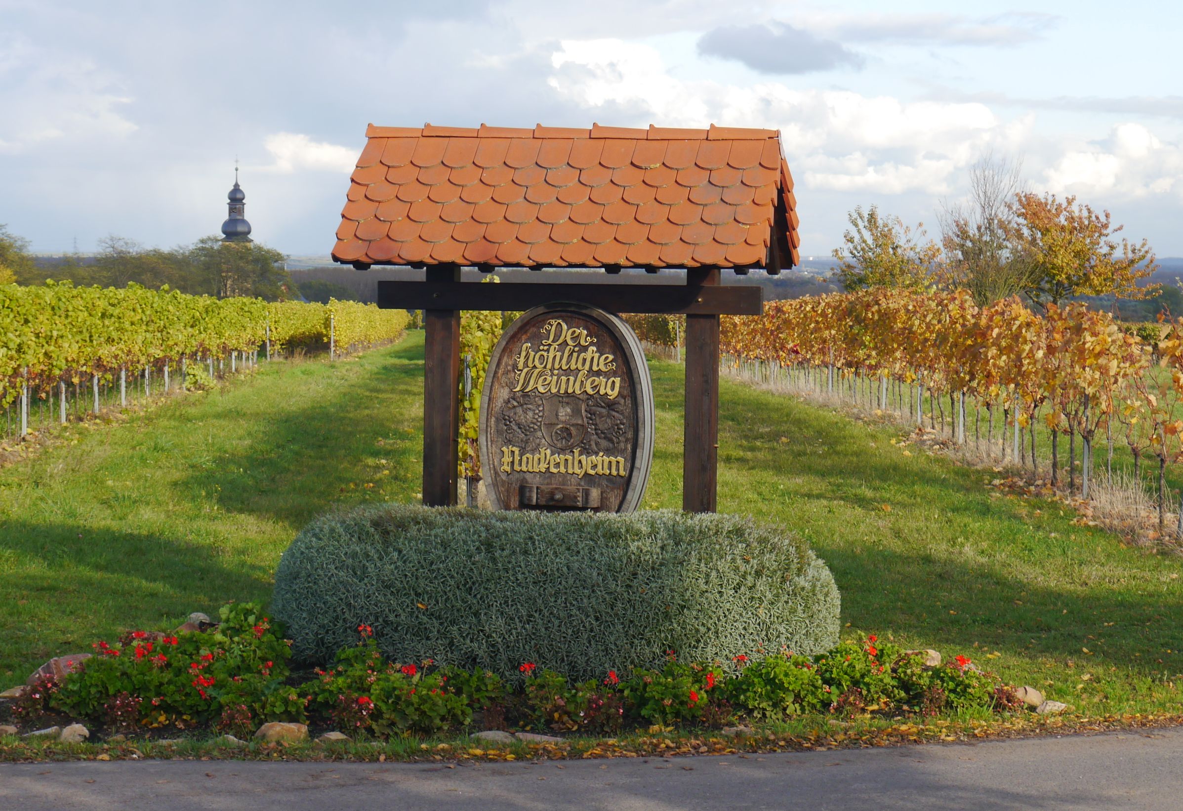 Wein | Nackenheim im fröhlichen Weinberg